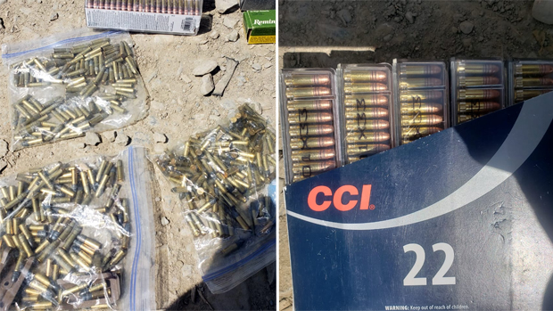 Detectan más de 7 mil municiones en contenedor | Erbol Digital Archivo