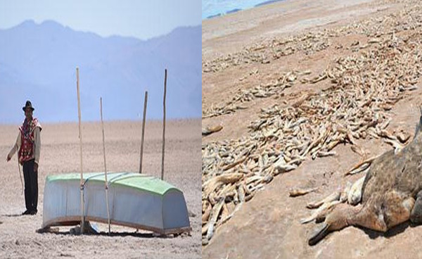 Revive el lago Poopó en un 50%, pero continúa en riesgo | Erbol Digital ...