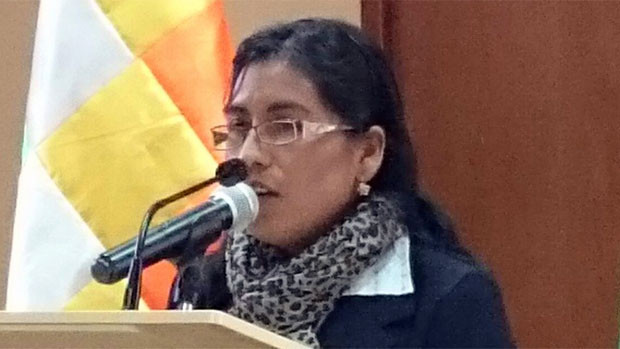 Designan a Lidia Iriarte como nueva vocal titular del TSE | Erbol ...